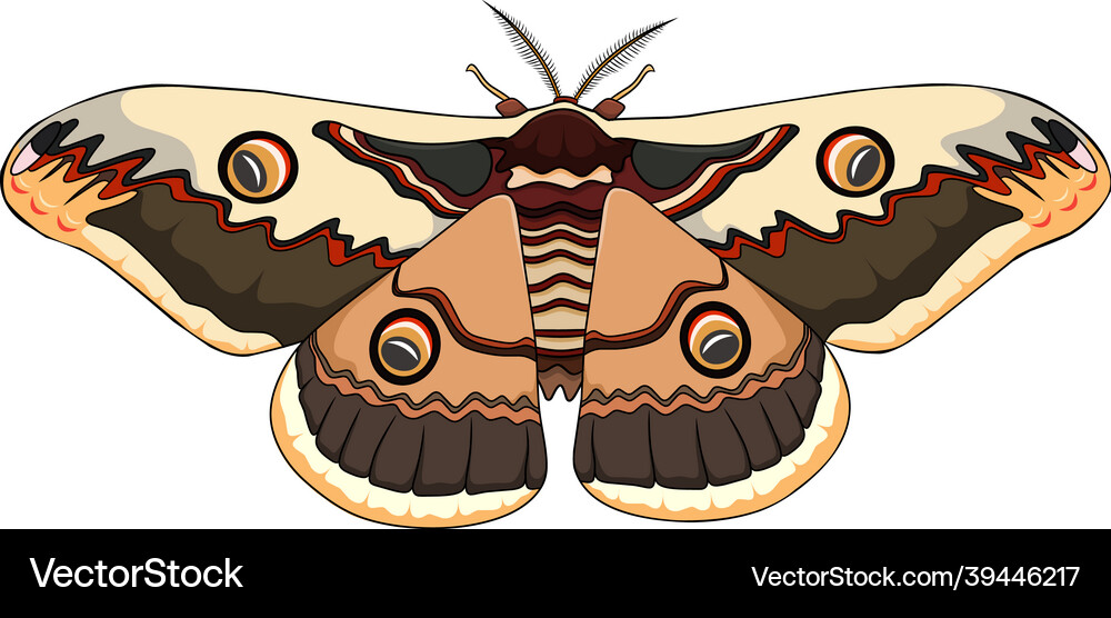 Cute moth cartoon Royalty Free Vector Image - VectorStock