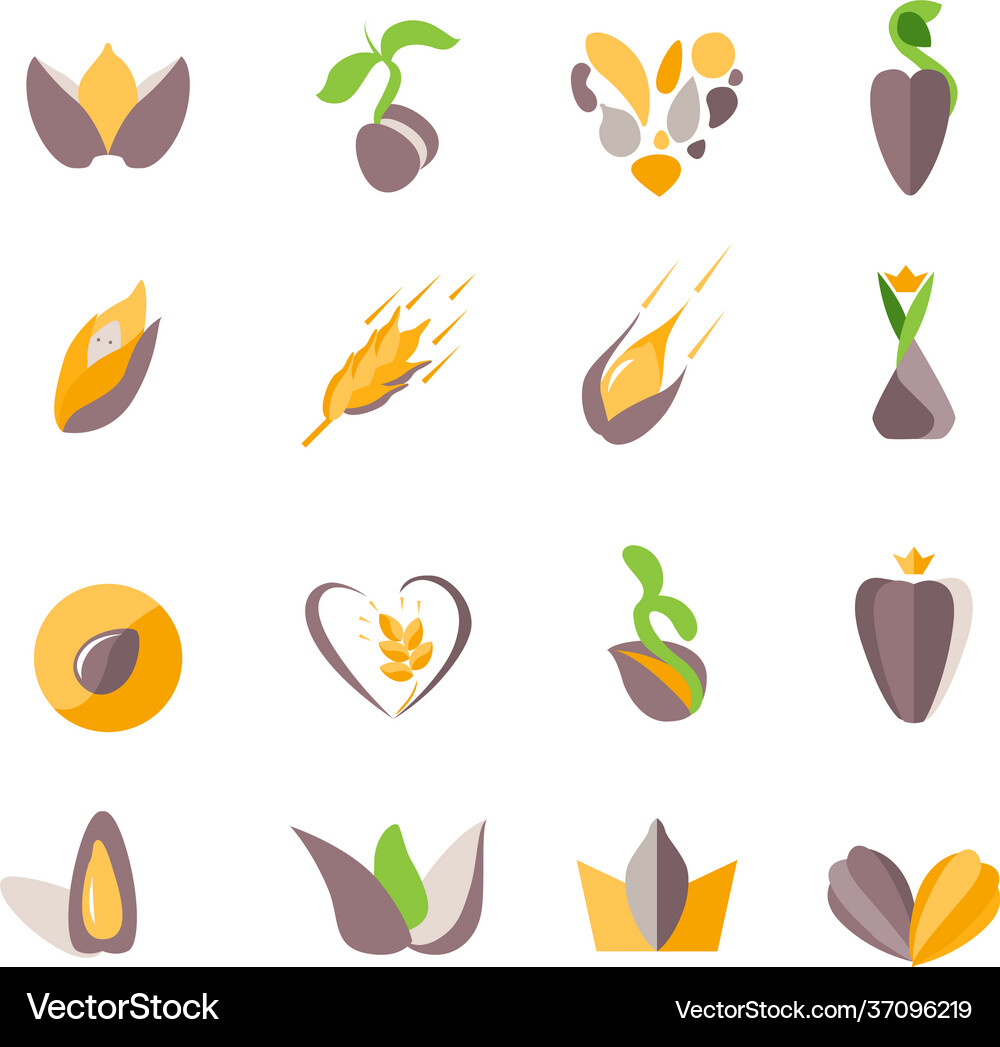 Stylized corns and seeds set with different Vector Image
