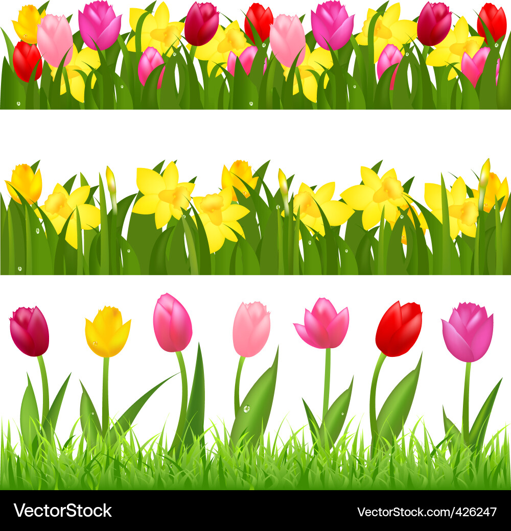 Flower borders Royalty Free Vector Image - VectorStock