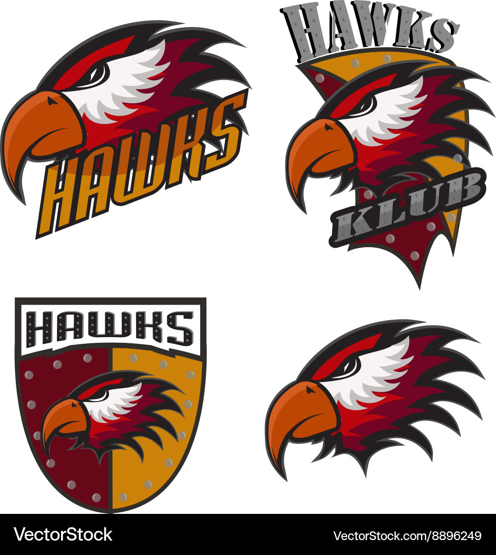 Professional sports logo hawks Royalty Free Vector Image