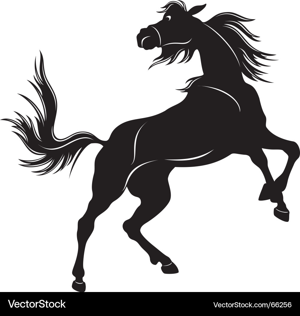 Wild horse Royalty Free Vector Image - VectorStock