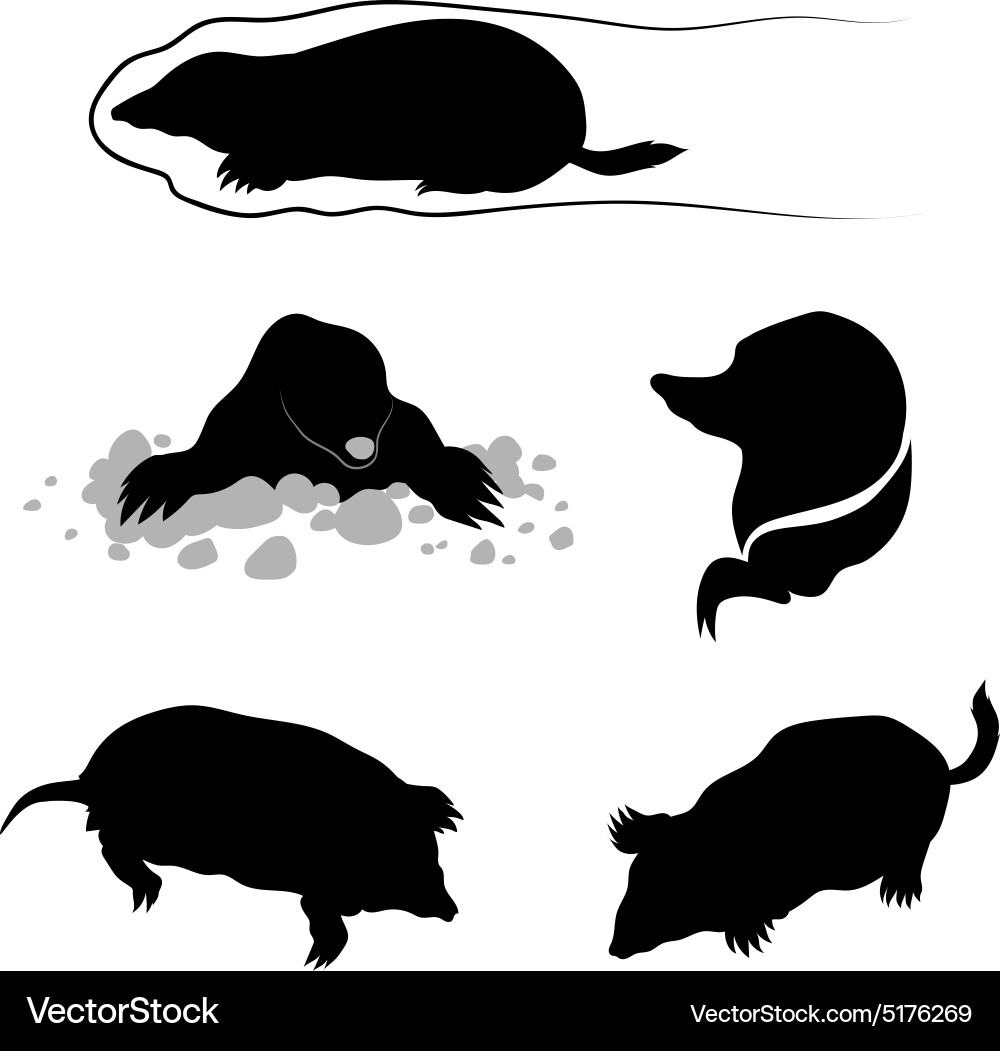Silhouettes of a mole Royalty Free Vector Image