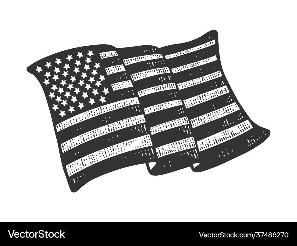 American flag sketch Royalty Free Vector Image