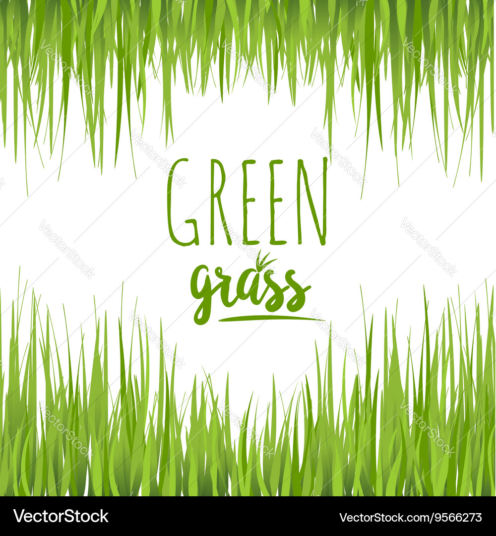 Set realistic green grass lawn Royalty Free Vector Image