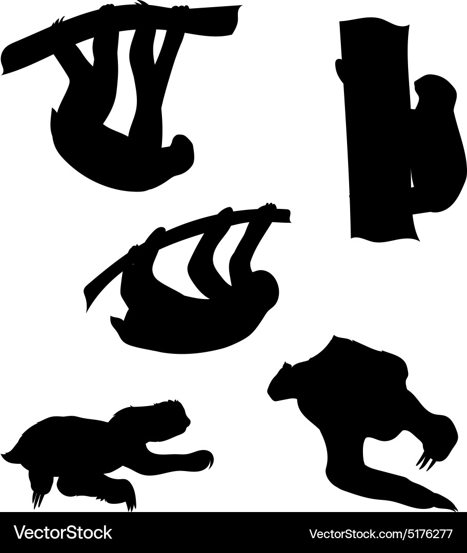Silhouettes of a sloth Royalty Free Vector Image