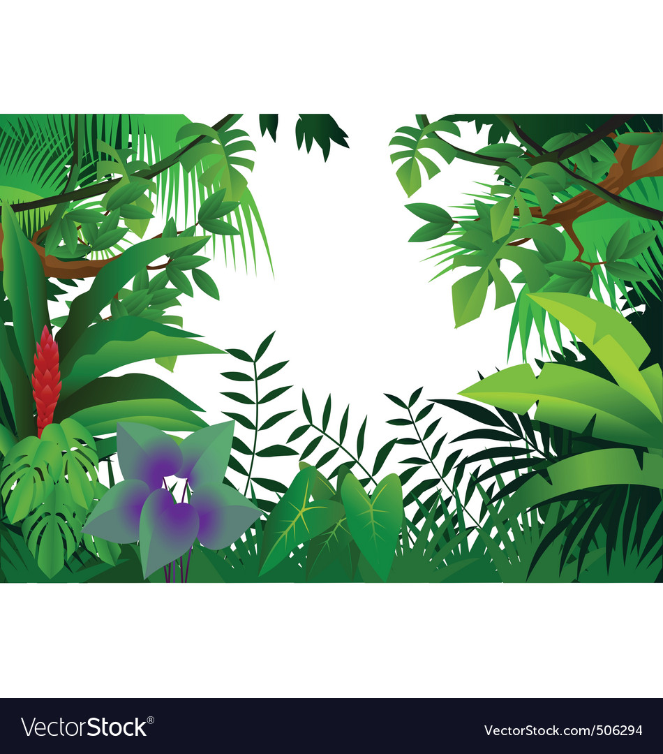 Tropical rain forest Royalty Free Vector Image