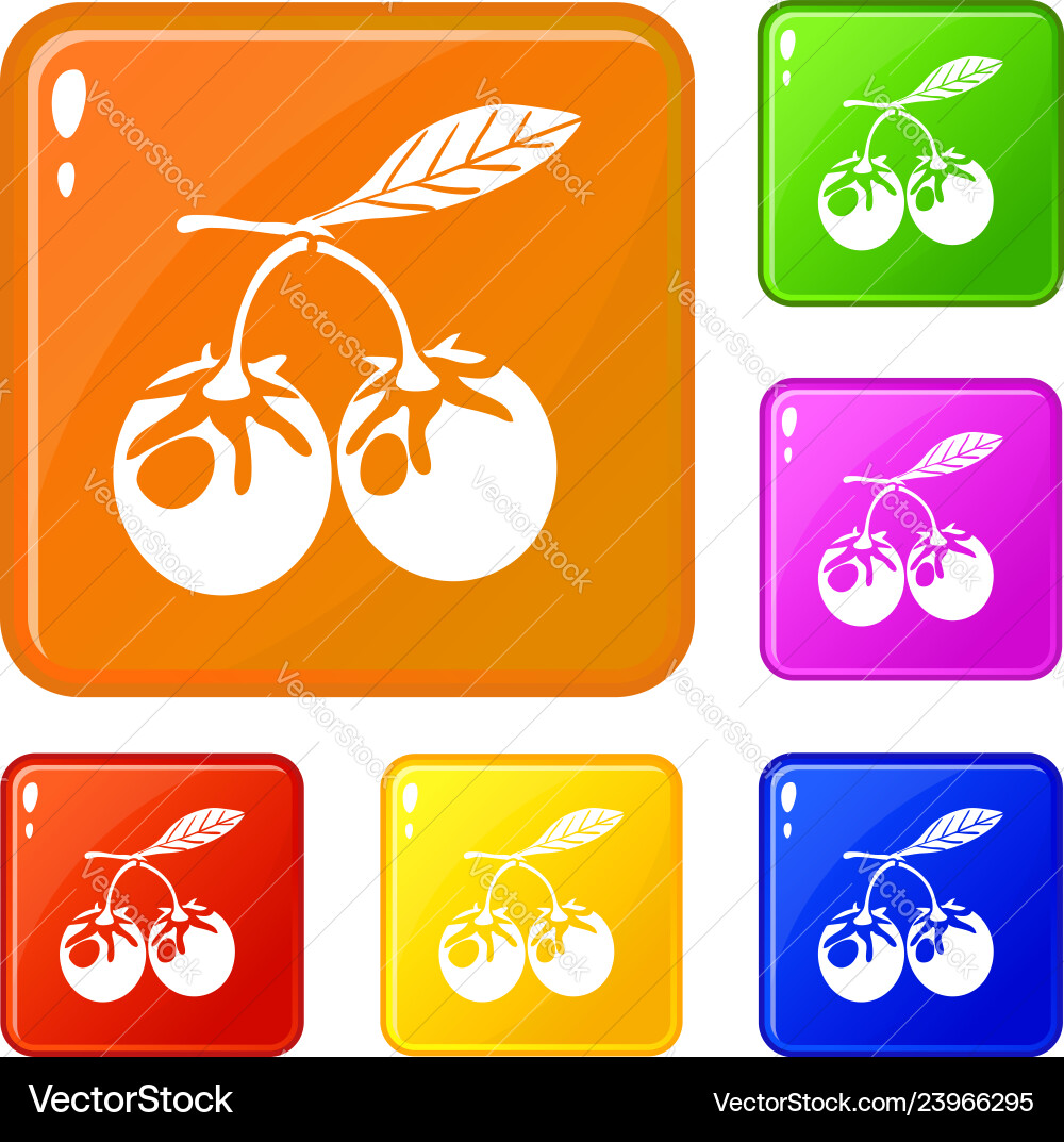 Eco berry icons set color Royalty Free Vector Image