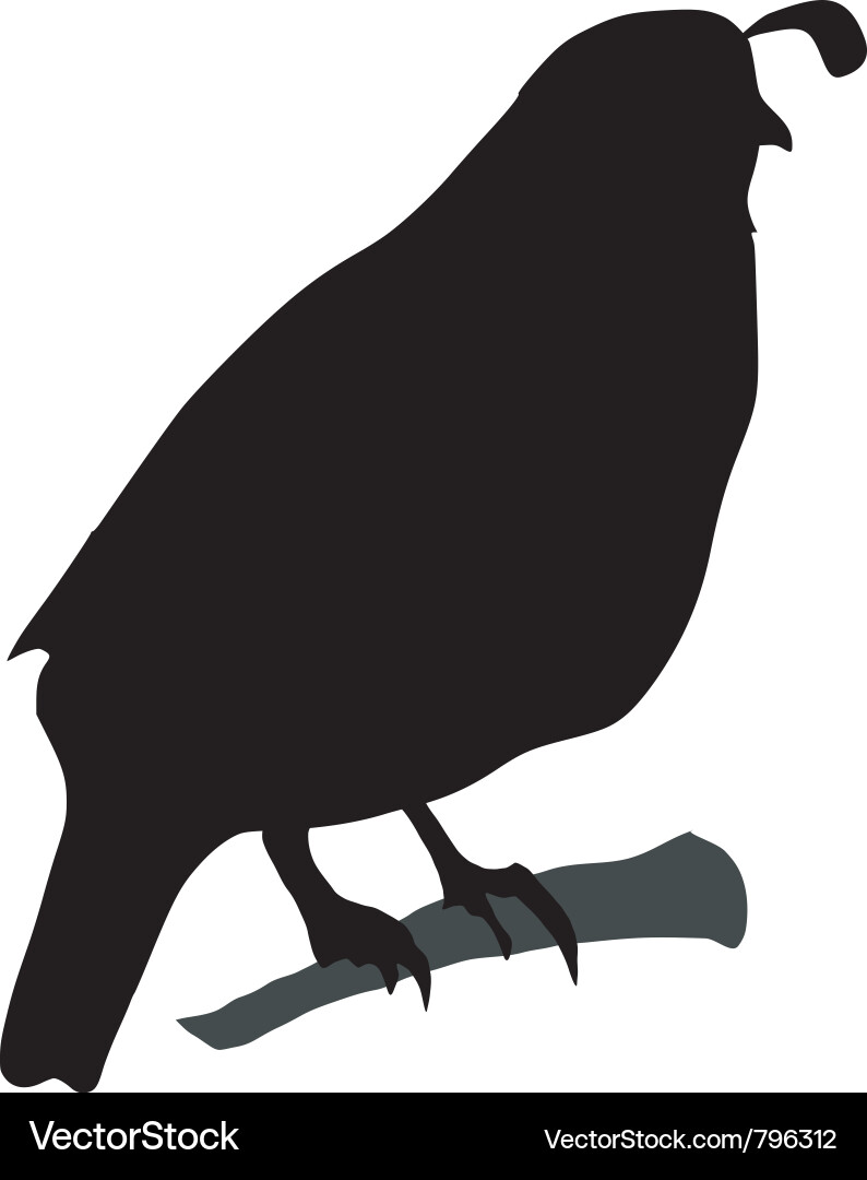 Black silhouette of quail Royalty Free Vector Image
