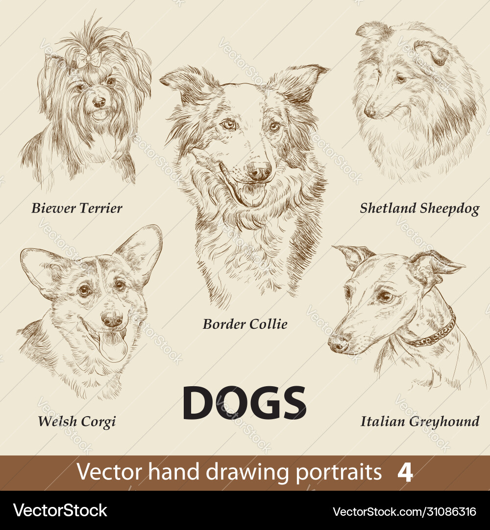 Set hand drawing dogs 4 Royalty Free Vector Image
