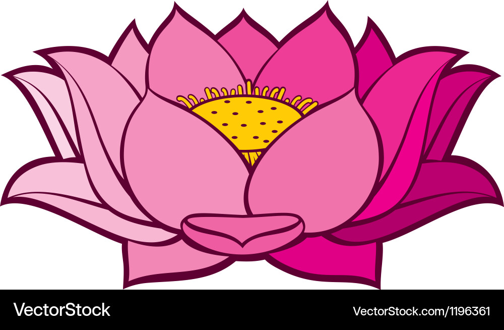 Lotus flower Royalty Free Vector Image - VectorStock