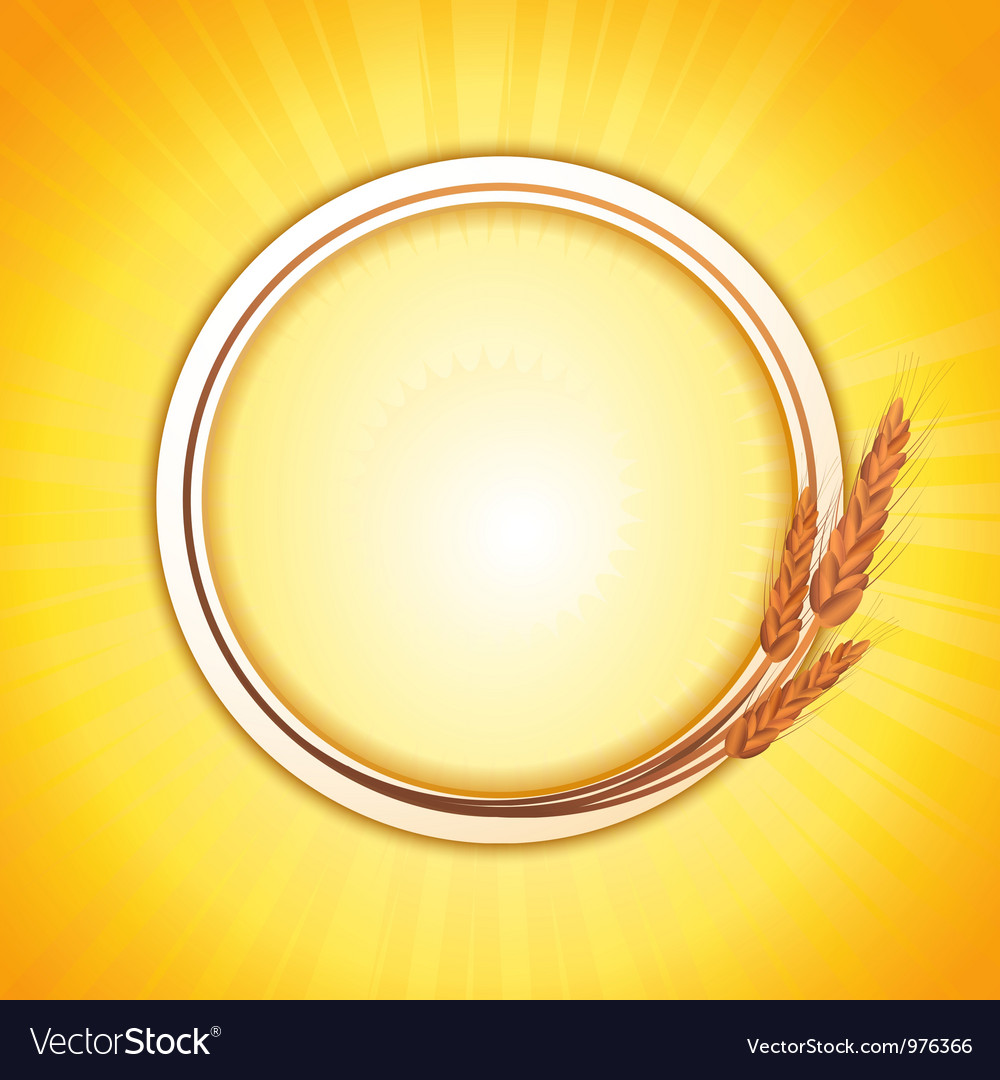 Wheat border Royalty Free Vector Image - VectorStock