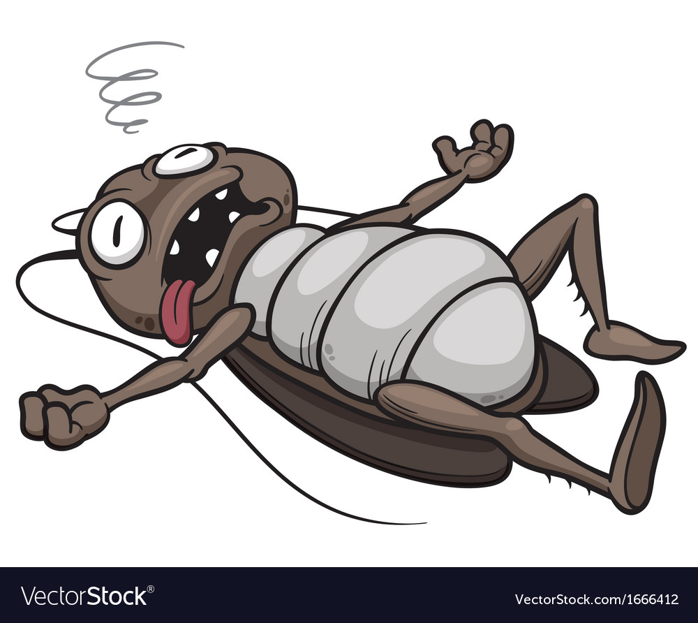 Cockroach dead Royalty Free Vector Image - VectorStock