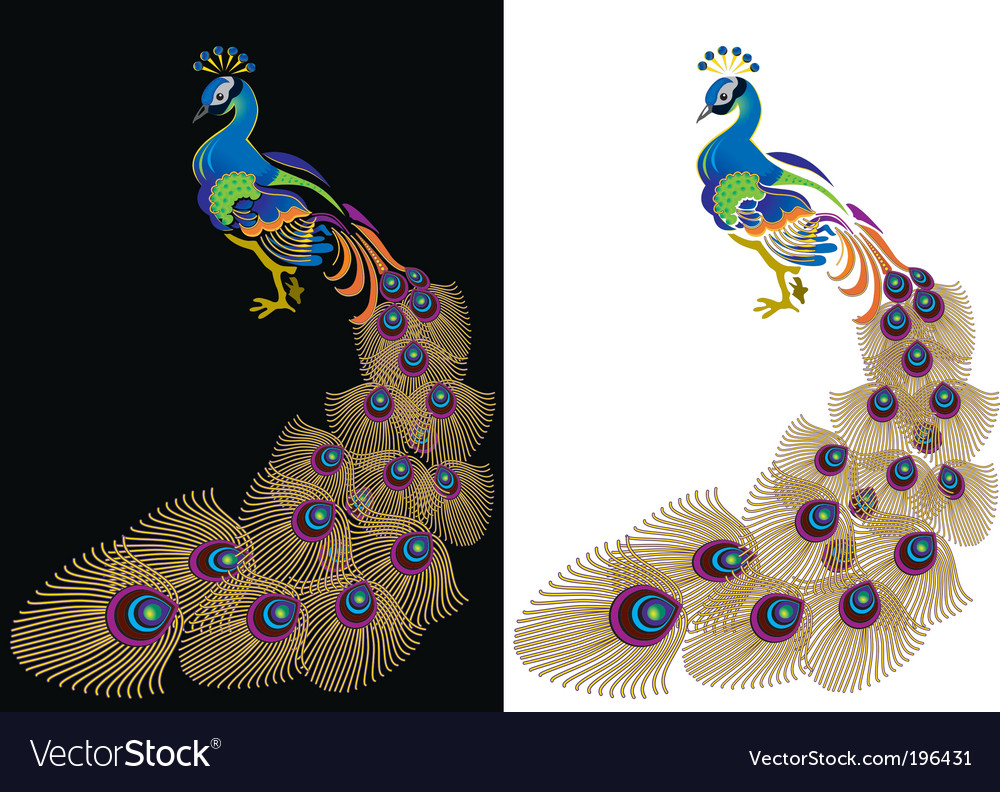 Peacock Royalty Free Vector Image - VectorStock