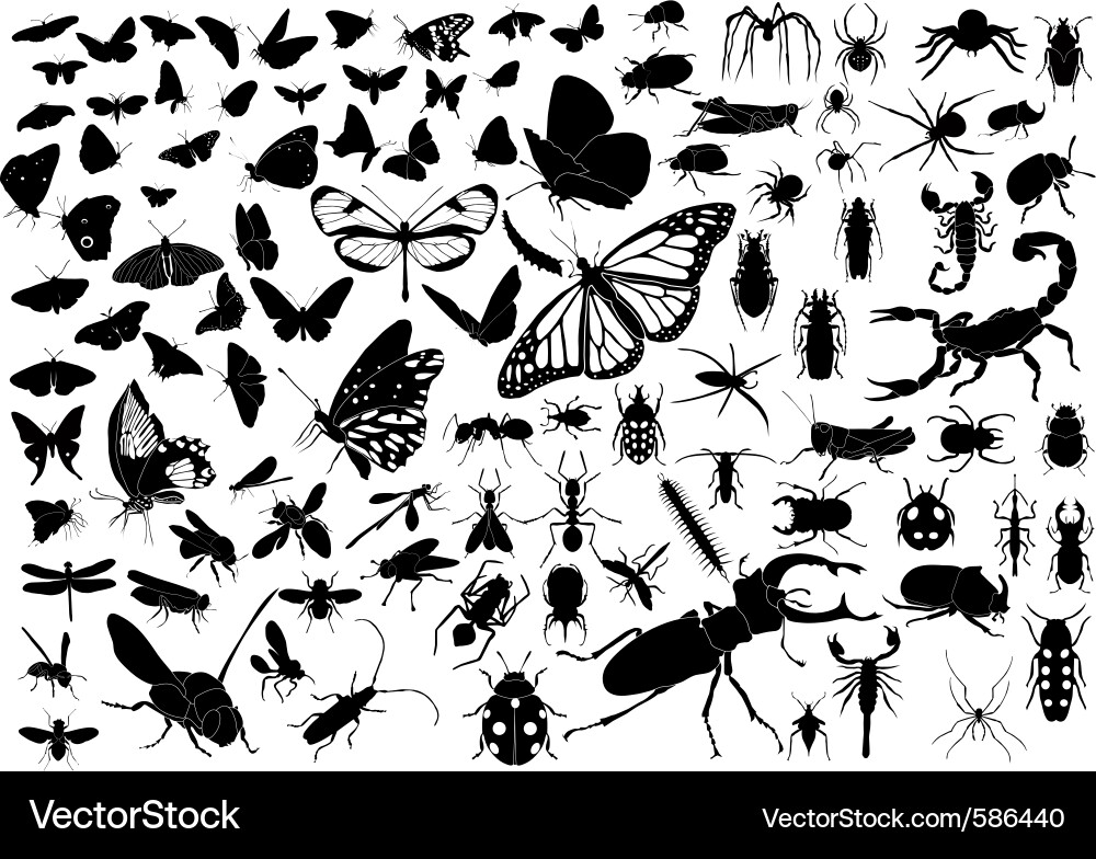 100 insects Royalty Free Vector Image - VectorStock