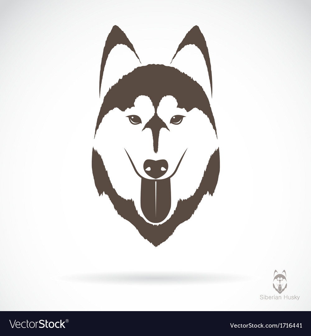 Siberian Husky Royalty Free Vector Image - VectorStock