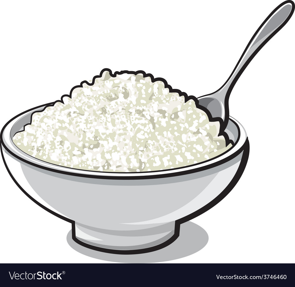 Curd Royalty Free Vector Image - VectorStock