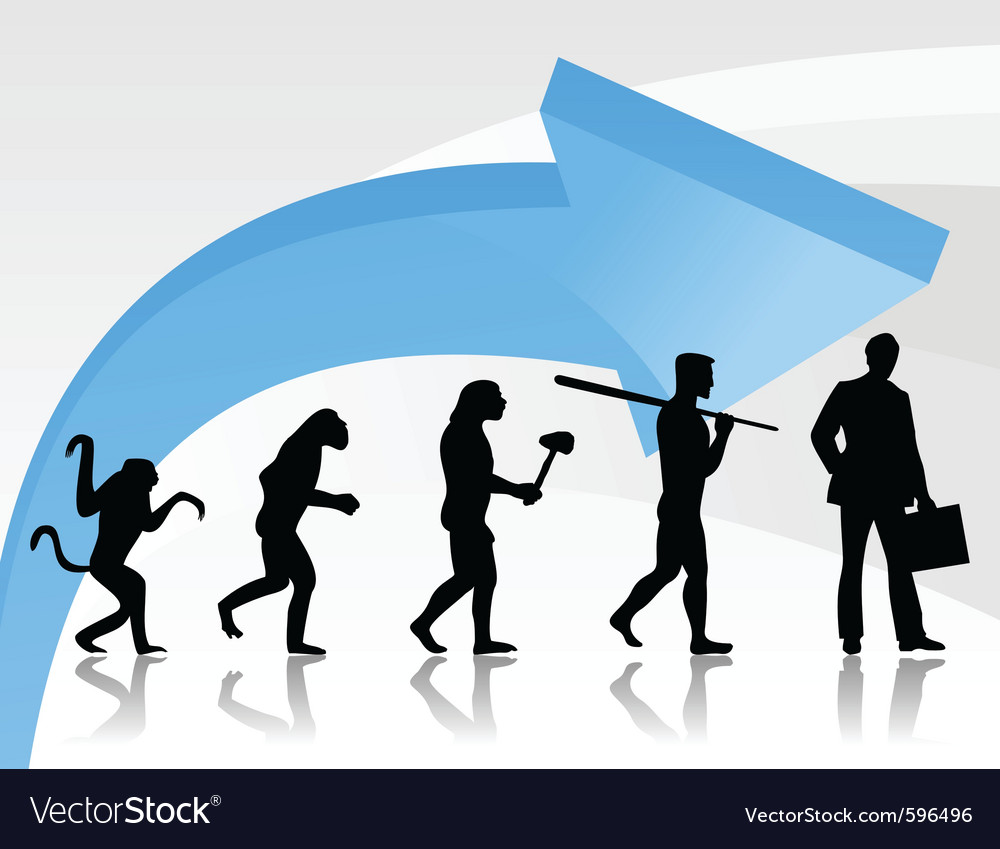 Evolution monkey Royalty Free Vector Image - VectorStock