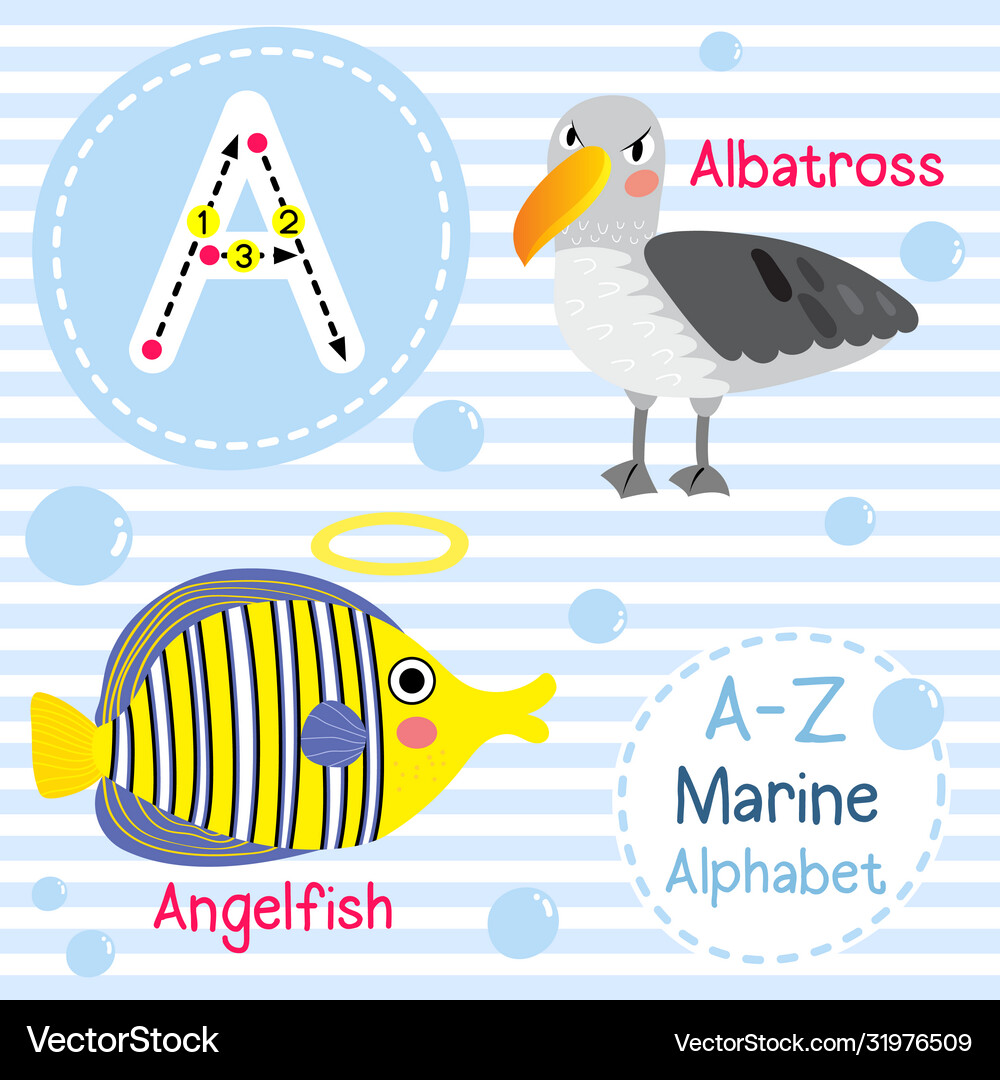 Letter a tracing albatross angelfish marine Vector Image