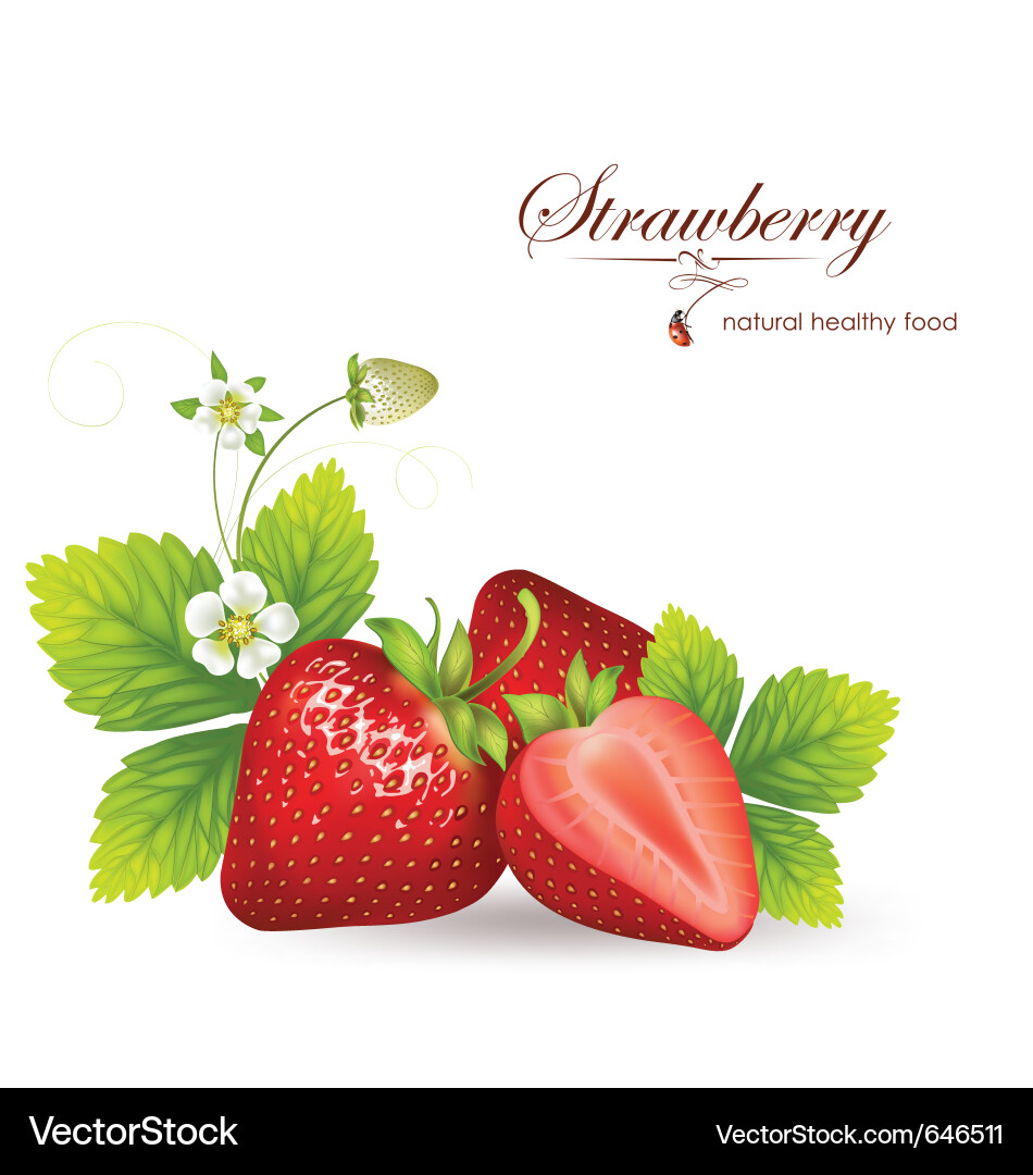 Strawberries Royalty Free Vector Image - VectorStock