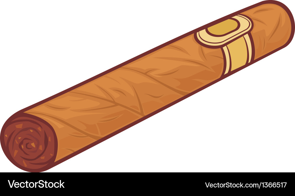 Cuban cigar Royalty Free Vector Image - VectorStock