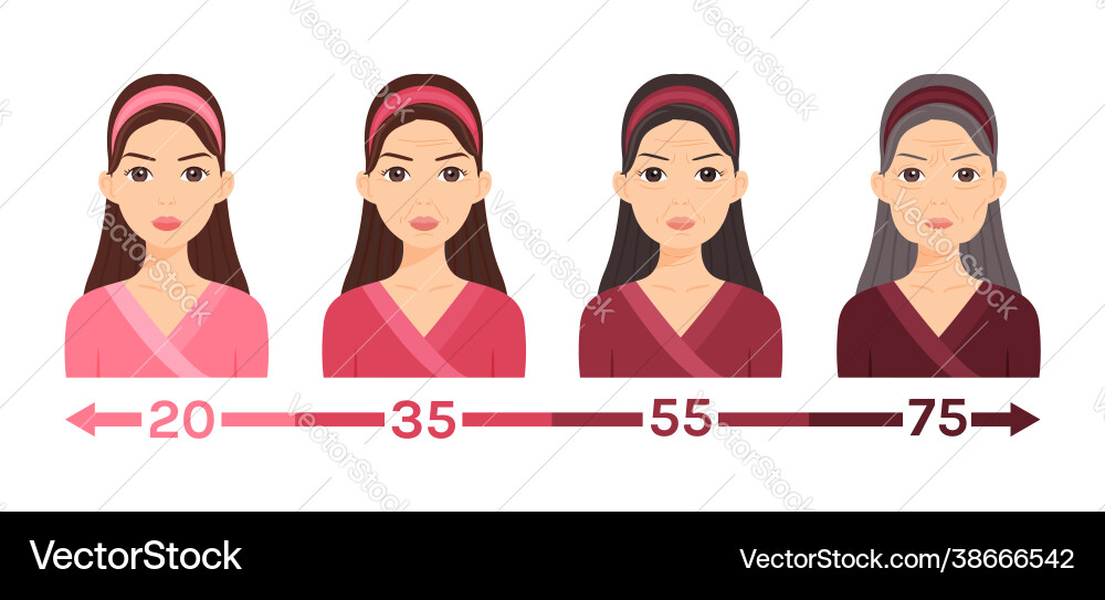 Young middle elderly women different ages Vector Image