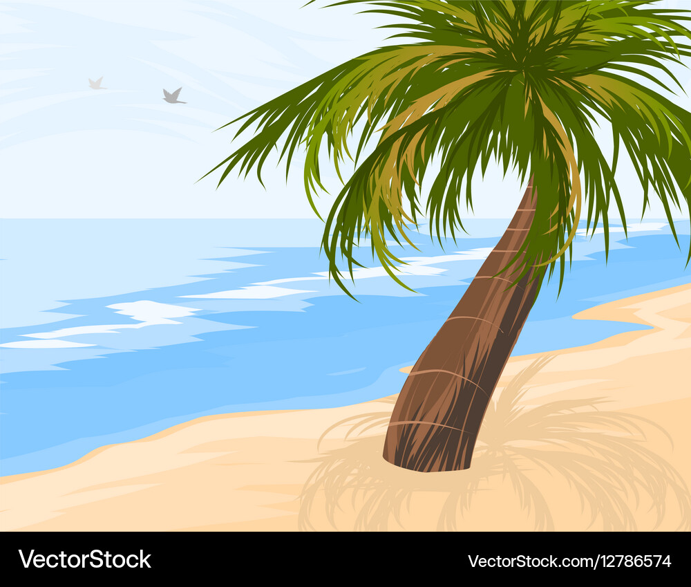 Beach & Coast Free Vector Graphics | Everypixel