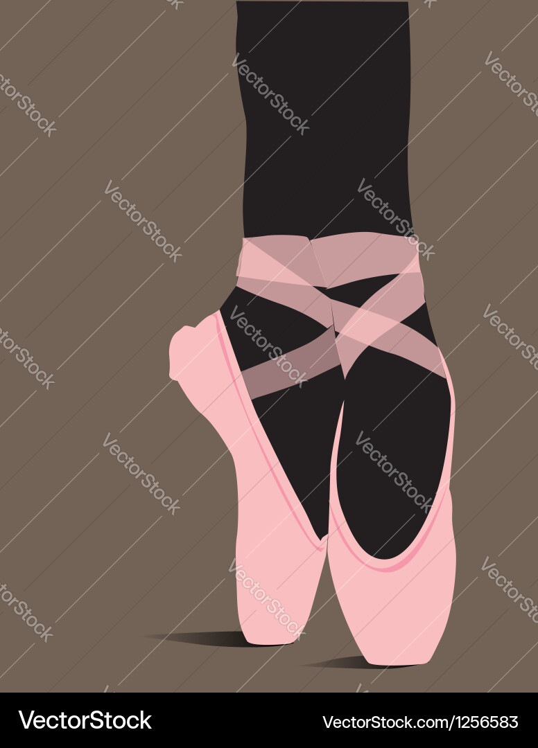 Ballet shoes Royalty Free Vector Image - VectorStock