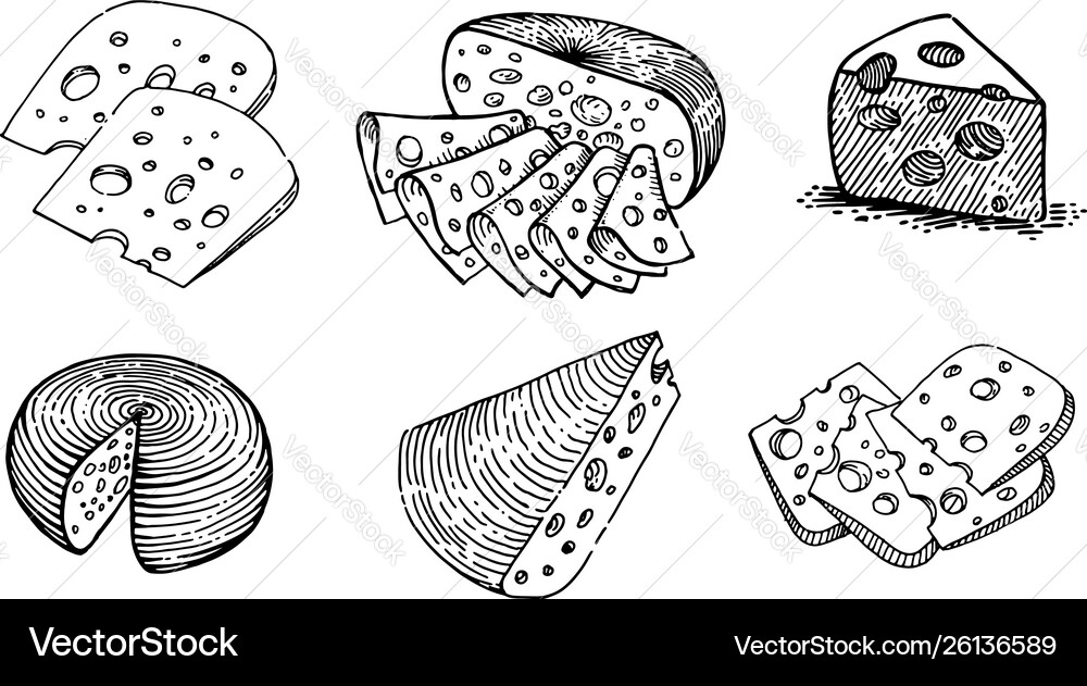Cheese head slices Royalty Free Vector Image - VectorStock