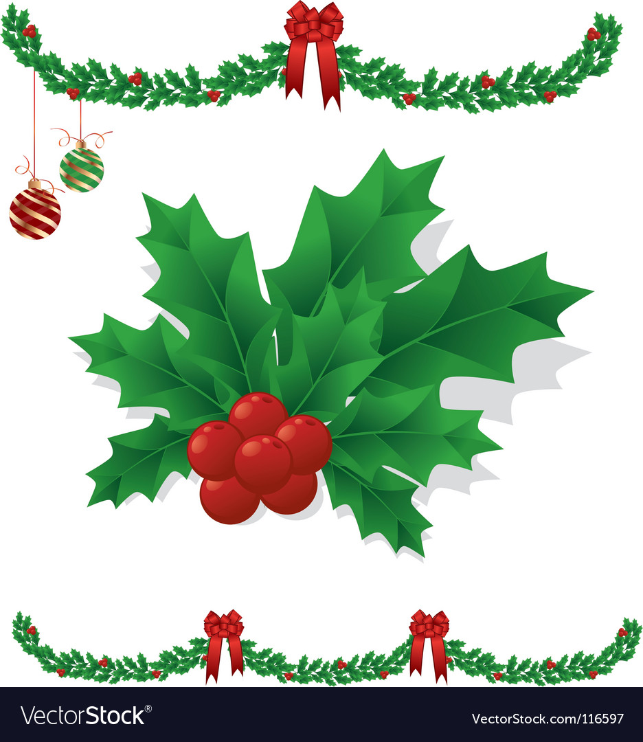 Mistletoe Royalty Free Vector Image - VectorStock
