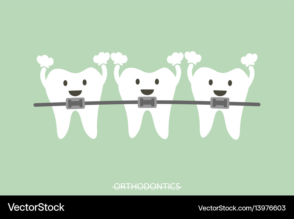 Orthodontics teeth or dental braces Royalty Free Vector