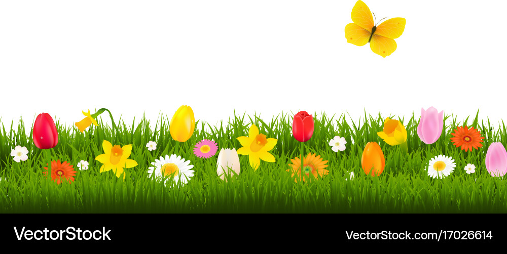 Flower border with butterfly Royalty Free Vector Image