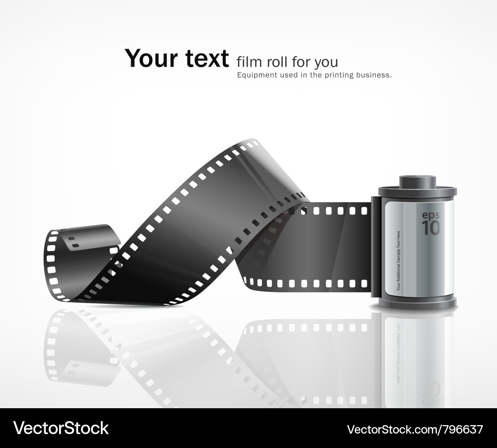 Camera film roll silver Royalty Free Vector Image