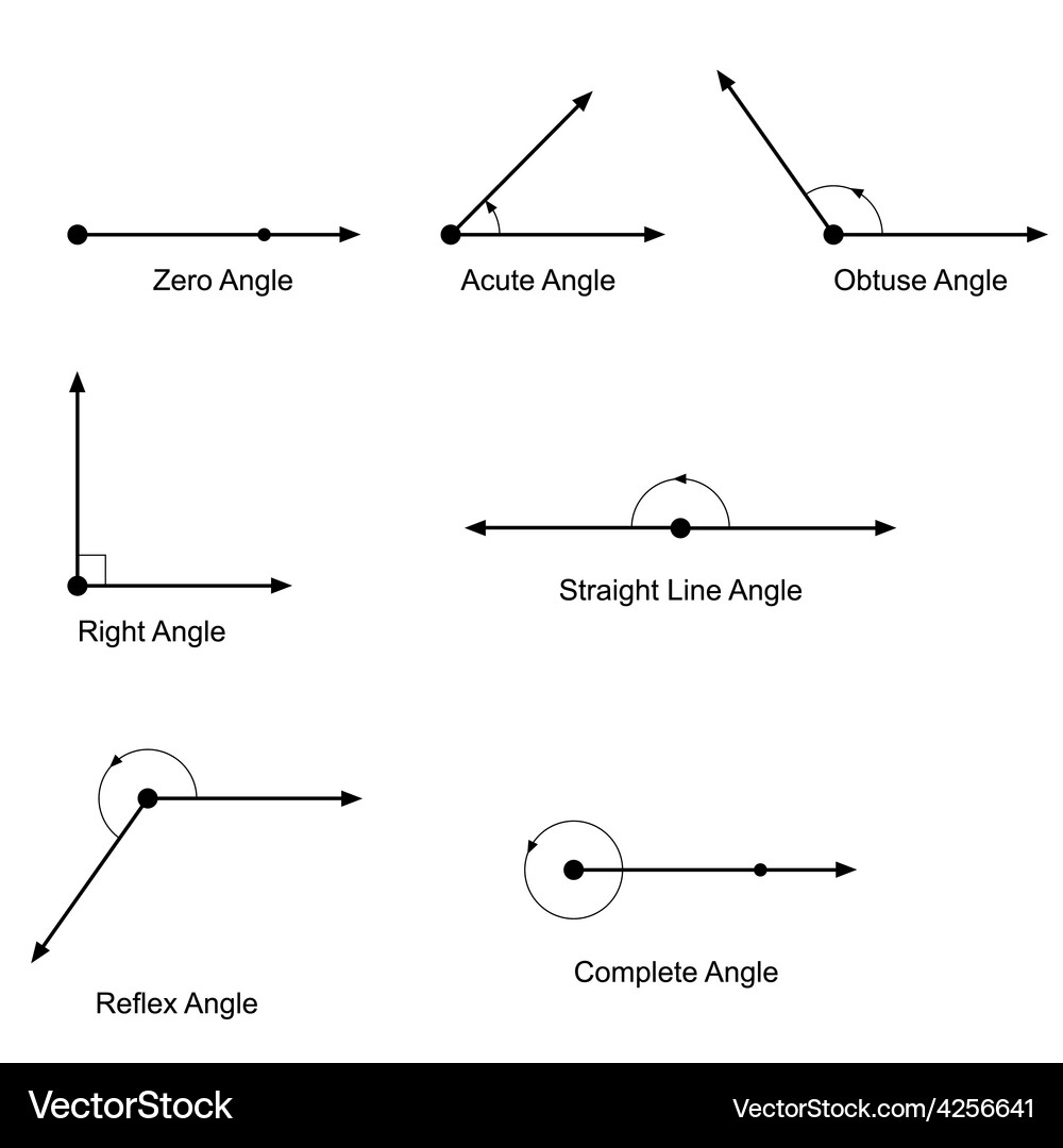 Types of angles Royalty Free Vector Image - VectorStock
