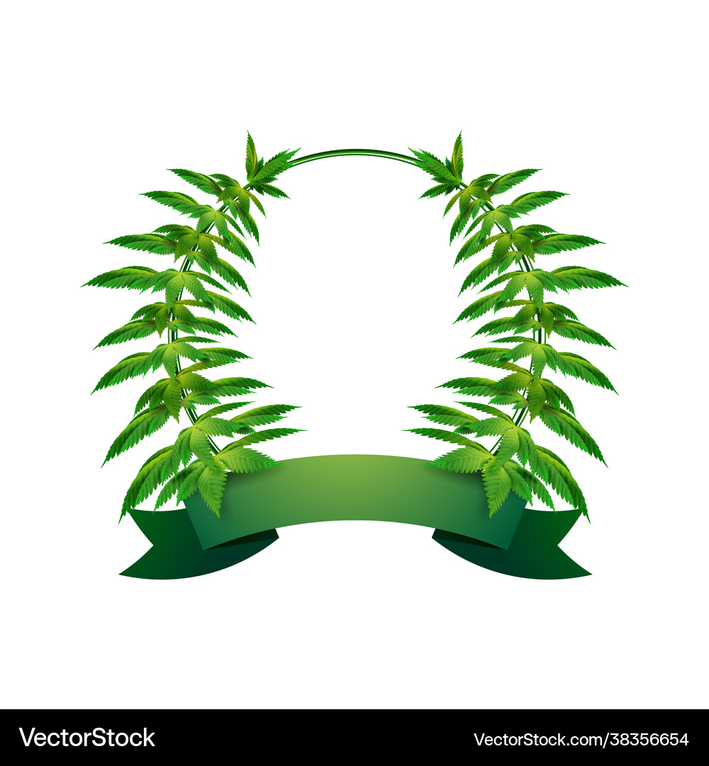 Circle frame hemp leaves around a white empty Vector Image