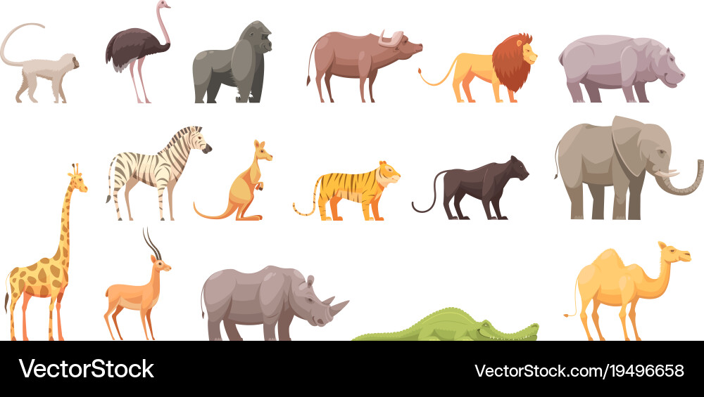 Wild tropical animals set Royalty Free Vector Image