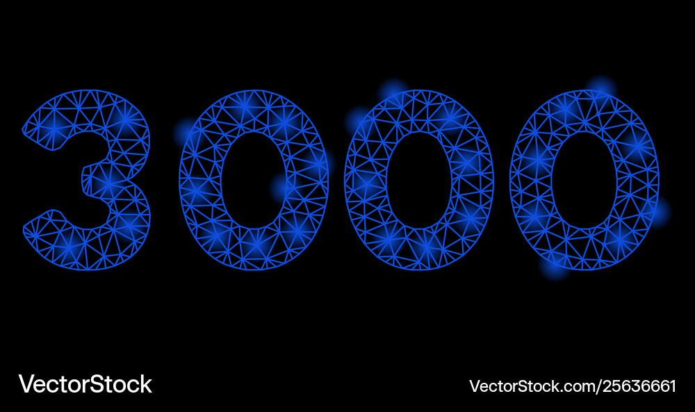 Bright mesh carcass 3000 digits text with flash Vector Image