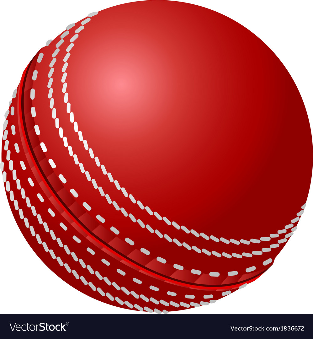Cricket ball Royalty Free Vector Image - VectorStock