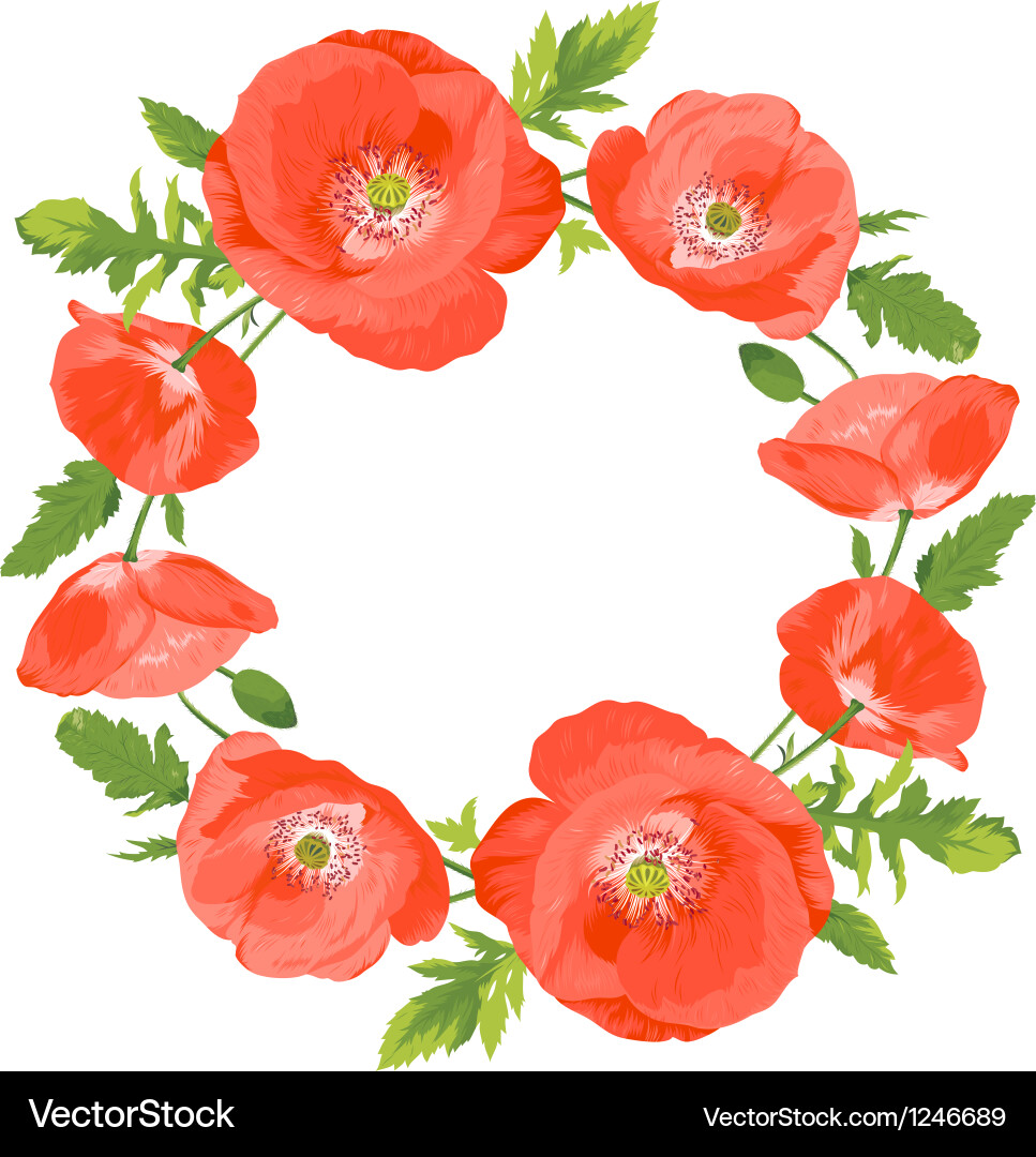Poppies wreath Royalty Free Vector Image - VectorStock