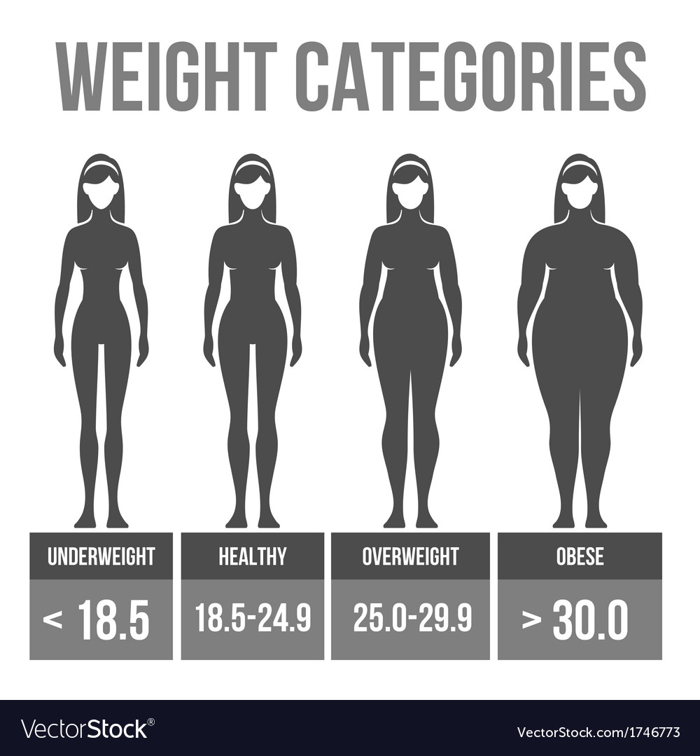 Woman Body Mass Index Royalty Free Vector Image