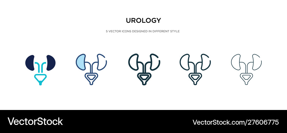 Urology icon in different style two colored Vector Image