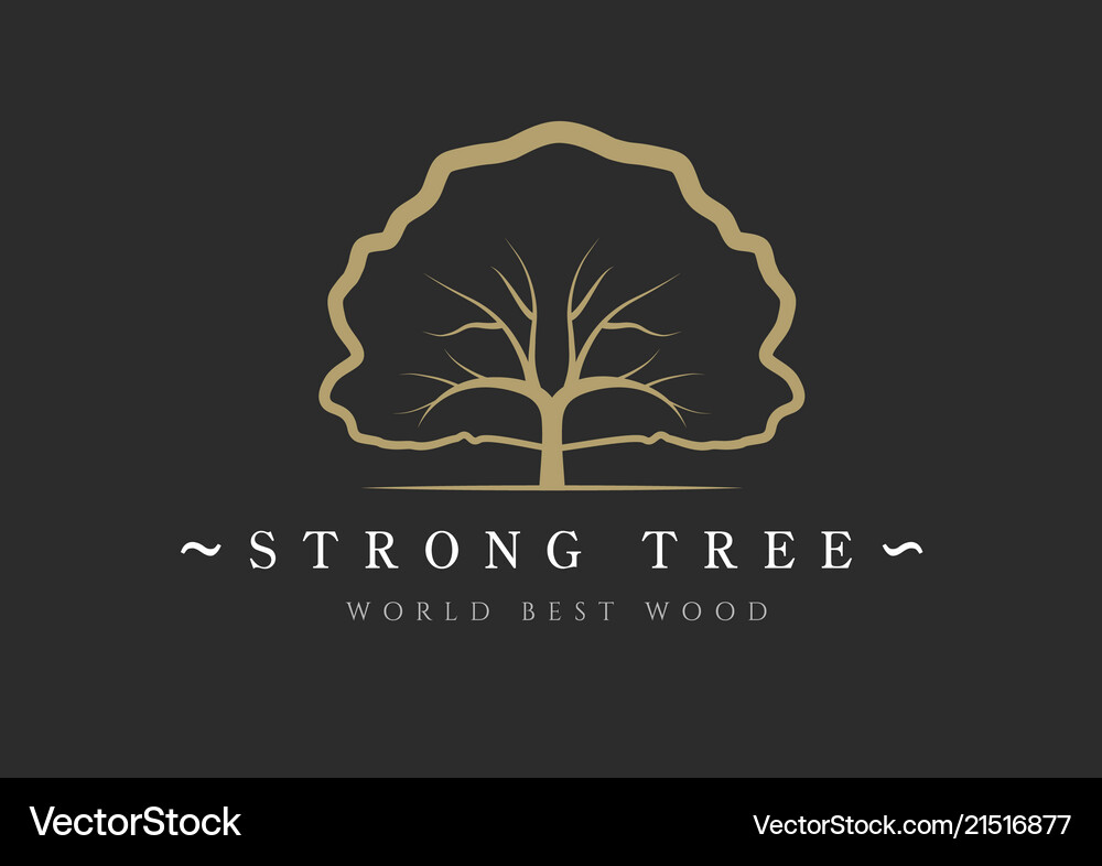 Element of a tree in a modern Royalty Free Vector Image