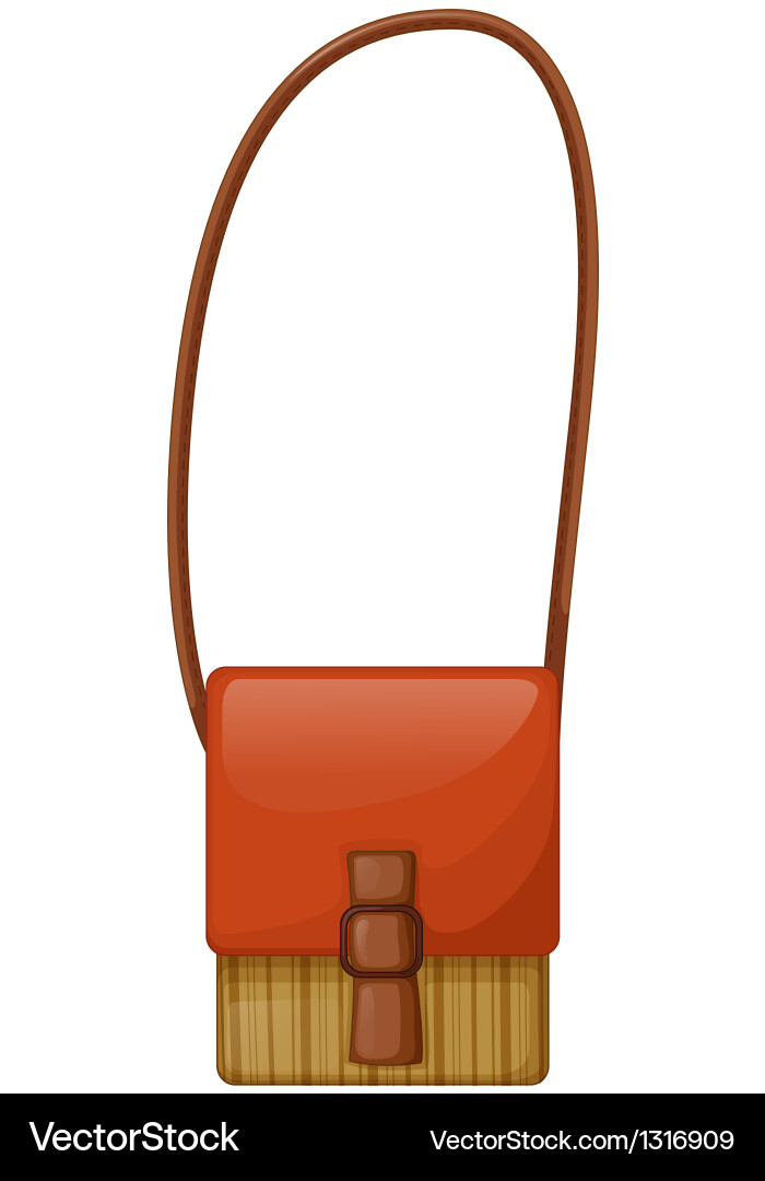 A fashionable slingbag Royalty Free Vector Image