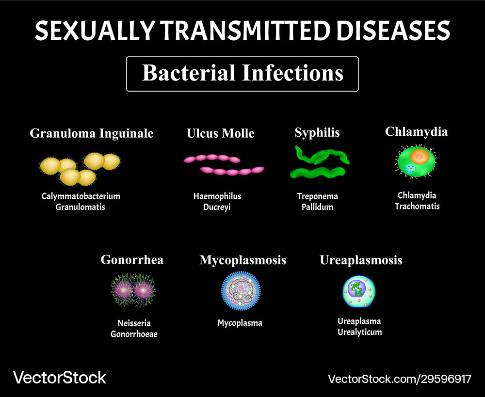 Syphilis spirochaete treponema gonococcus Vector Image