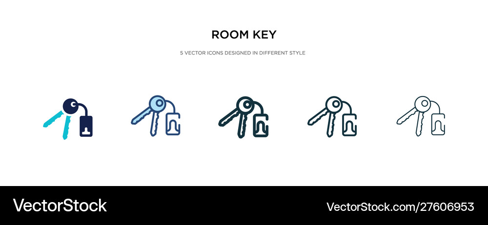Room key icon in different style two colored Vector Image