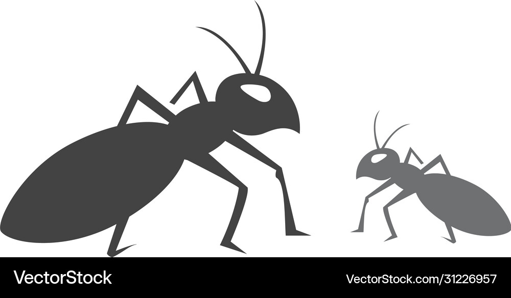 Ant design Royalty Free Vector Image - VectorStock
