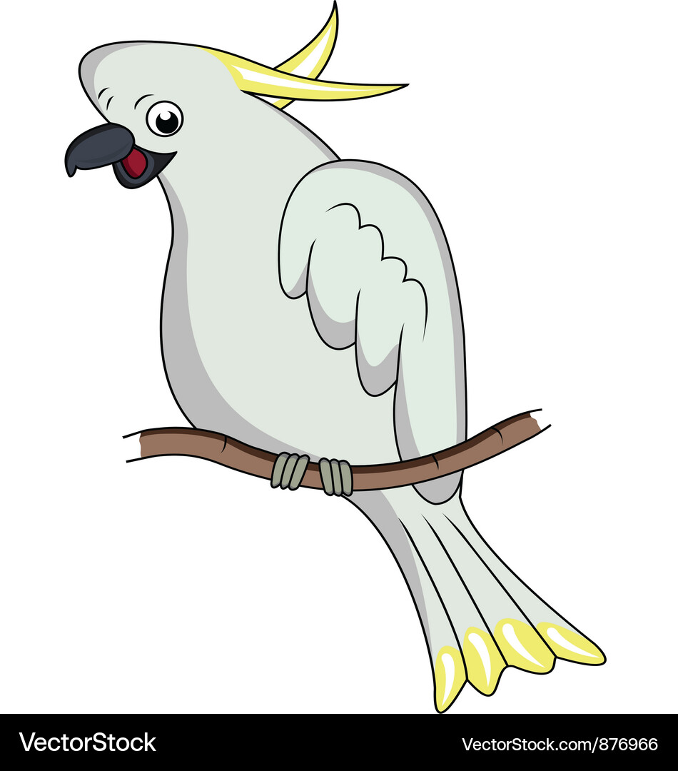 Cockatoo cartoon Royalty Free Vector Image - VectorStock