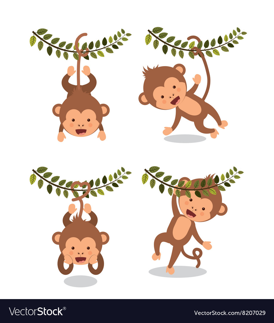 Cute monkey design Royalty Free Vector Image - VectorStock