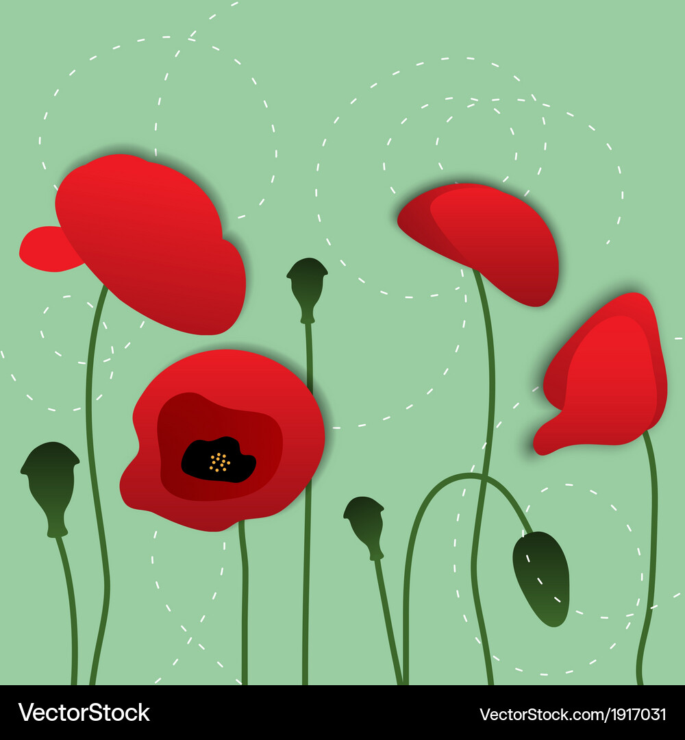 Poppy flowers Royalty Free Vector Image - VectorStock
