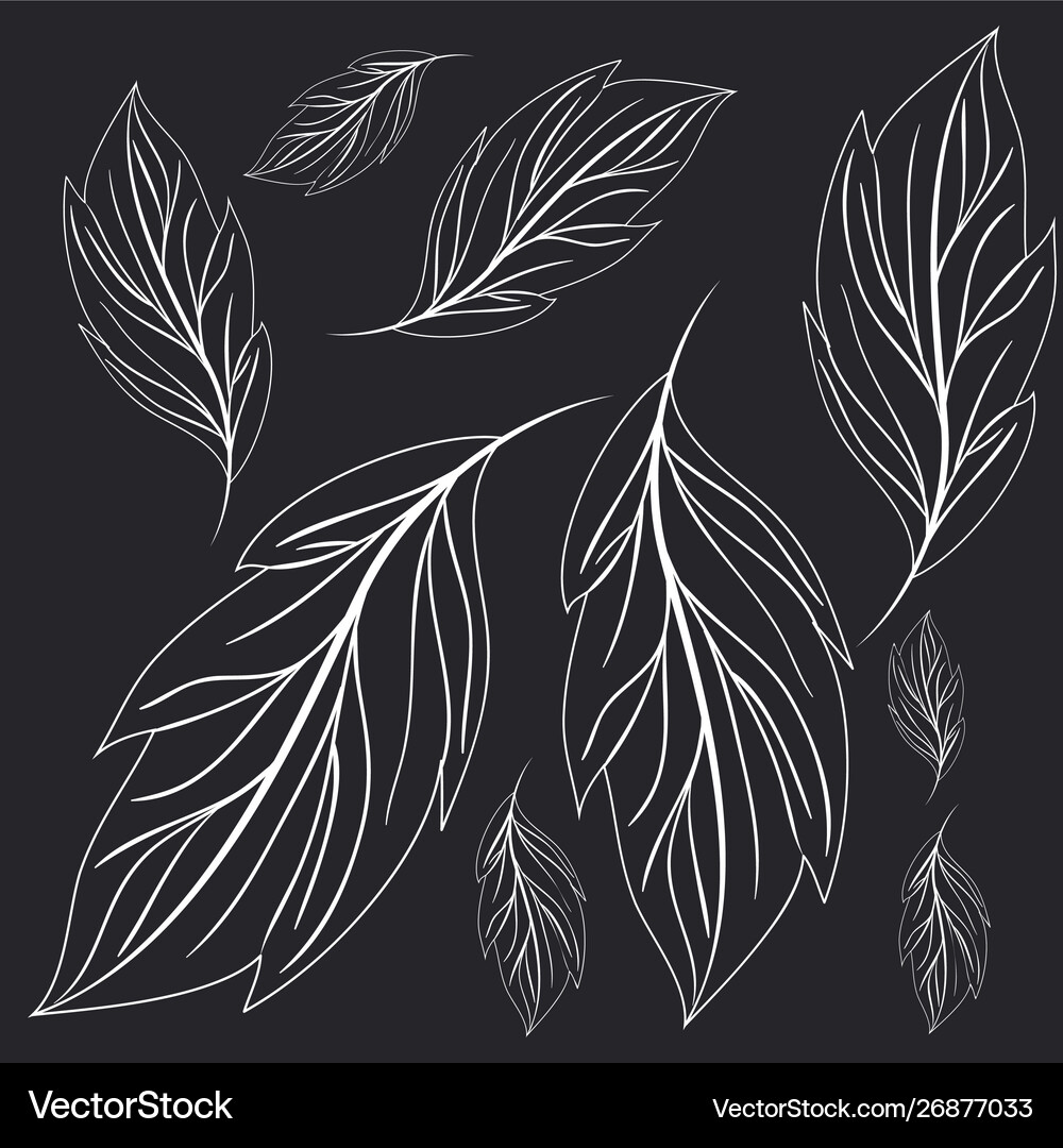 Pattern branch and leaf icon Royalty Free Vector Image