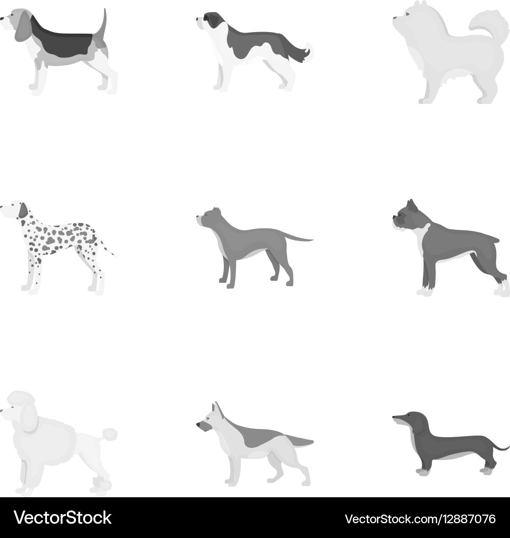 Dog breeds set icons in monochrome style Big Vector Image